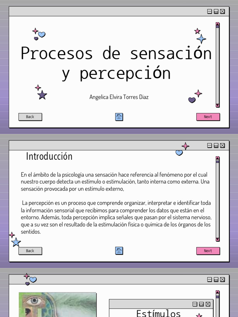 Sensacion y Percepcion - AERD - Sem2 - Act2 | PDF | Percepción | Sentidos