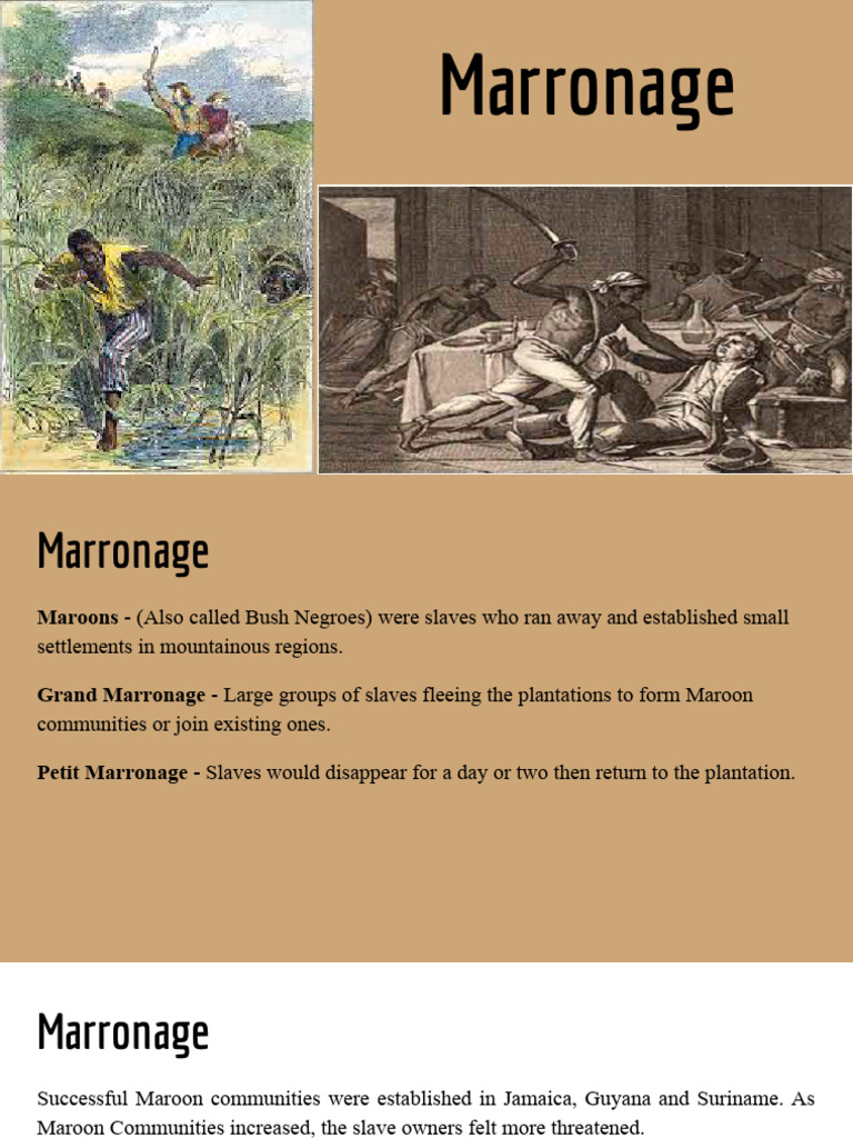 Maroons | PDF | African Diaspora | Slavery