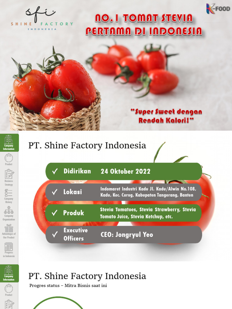 Company Profile - PT. Shine Factory Indonesia | PDF