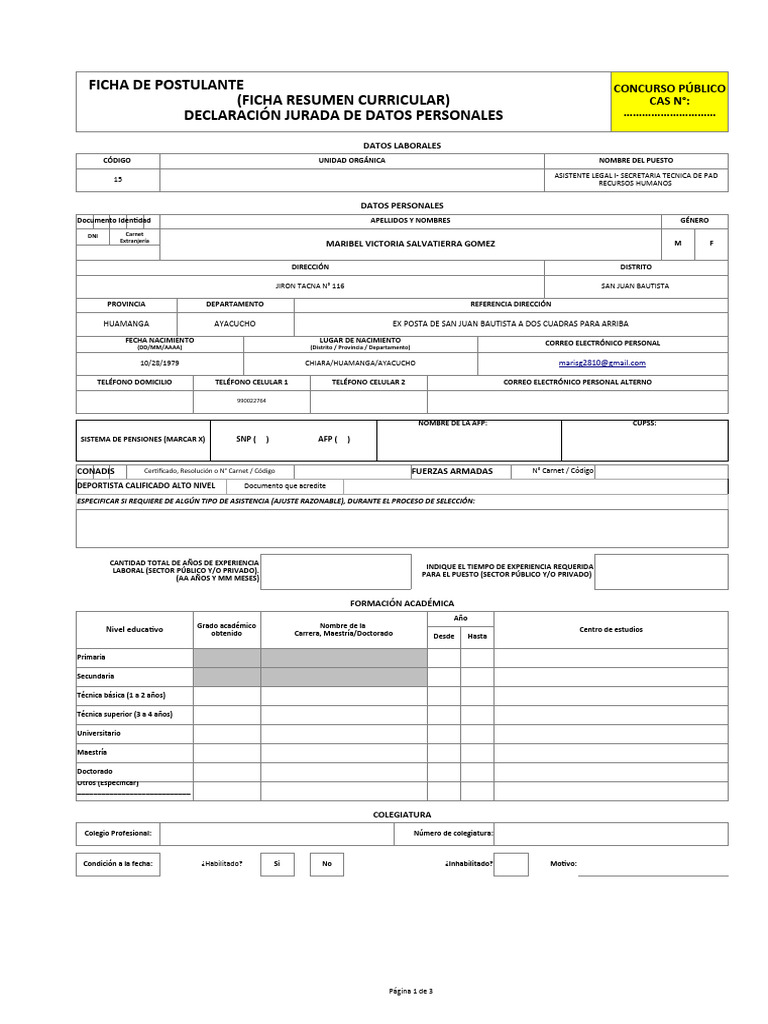 2024 Ficha Cas | PDF | Documento de identidad