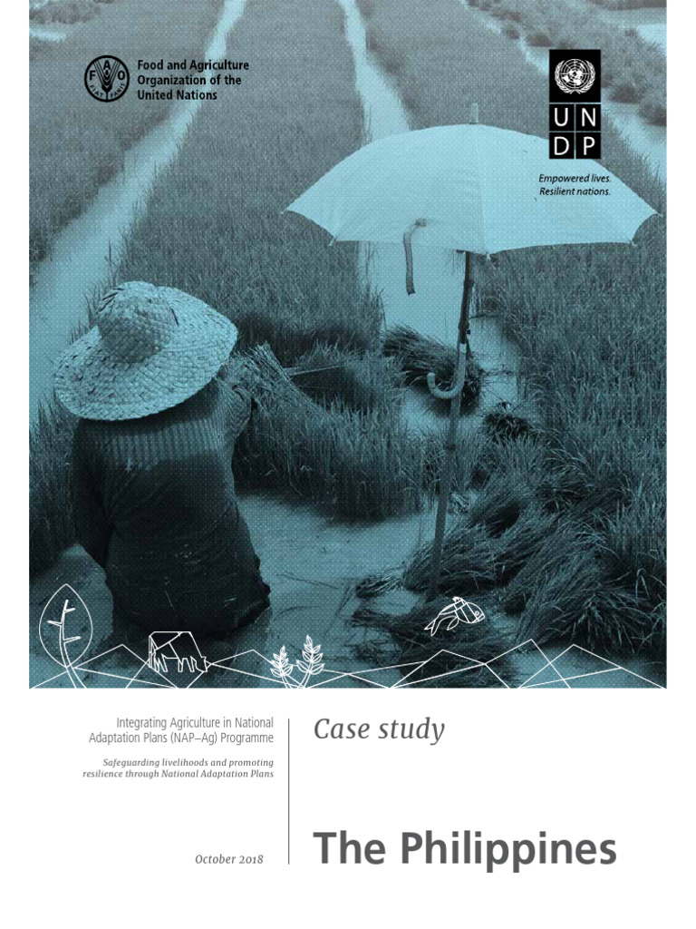 Climate Case Study Pdf Disaster Risk Reduction Climate Resilience