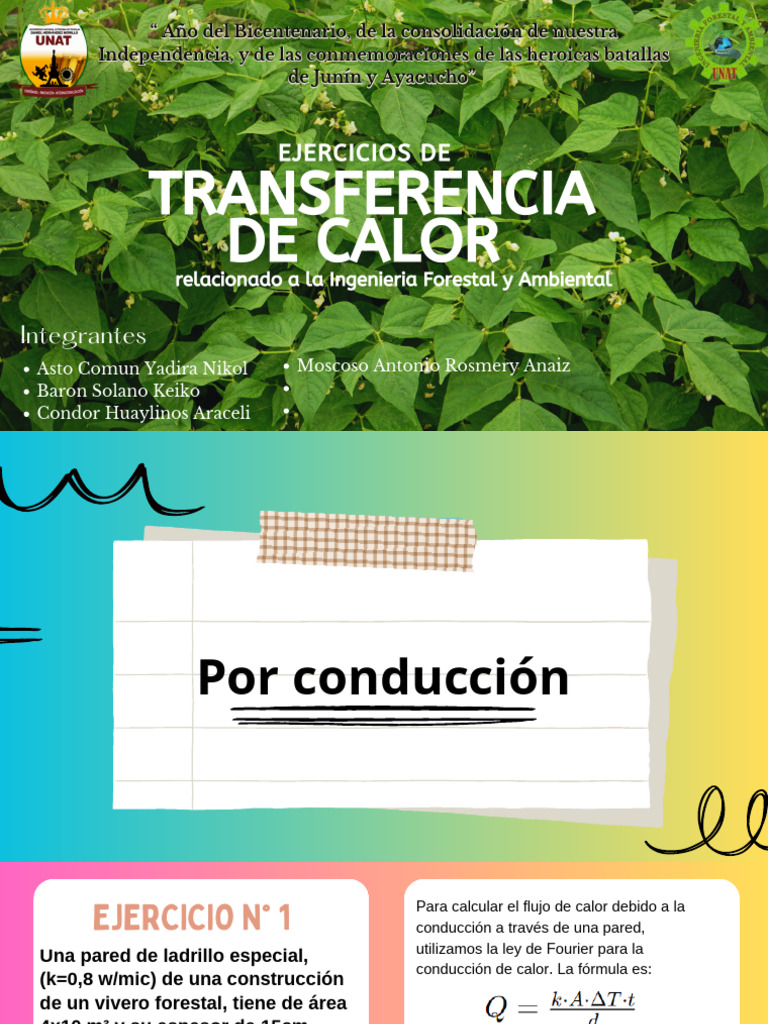 Ejercicios de Fisica Aplicada | PDF | Conduccion termica | Temperatura