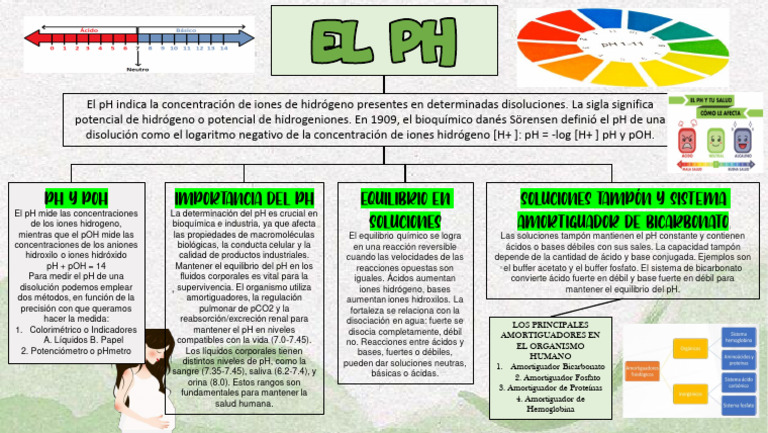 Mapa Conceptual Delph Grupo 3 | PDF | Ph | Solución tampón