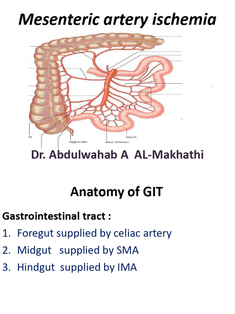 Mesenteric Artery Ischemia PDF | PDF | Ischemia | Thrombosis