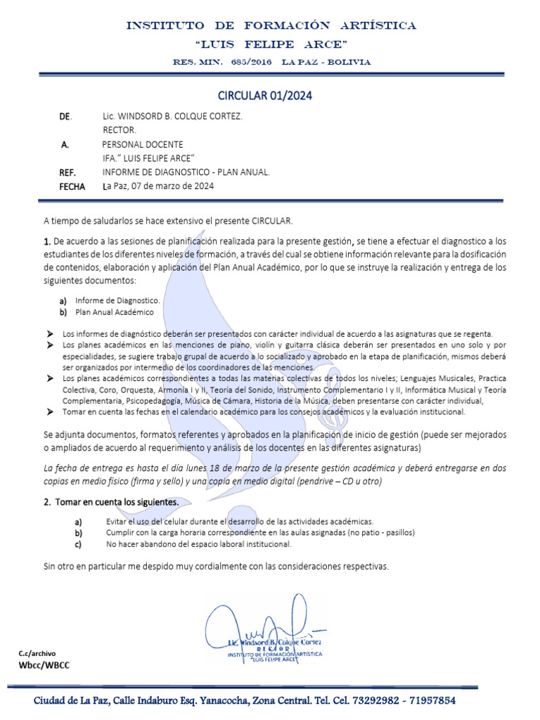 CIRCULAR 01 Entrega Diagnostico | PDF