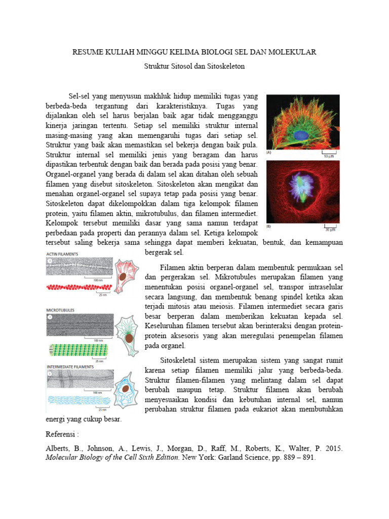 Struktur Sitosol Dan Sitoskeleton | PDF