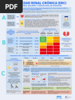 Tratamiento de ERC en Gatos: Guía 2019 | PDF | Medicamentos con receta ...