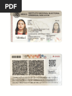 Nueva Plantilla Ine | PDF | Politica de mexico | Elecciones