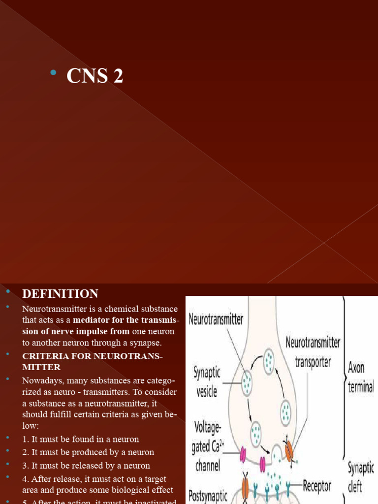 CNS 2 | PDF | Neurotransmitter | Inhibitory Postsynaptic Potential