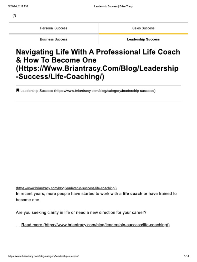 BT1 - Navigating Professional | PDF