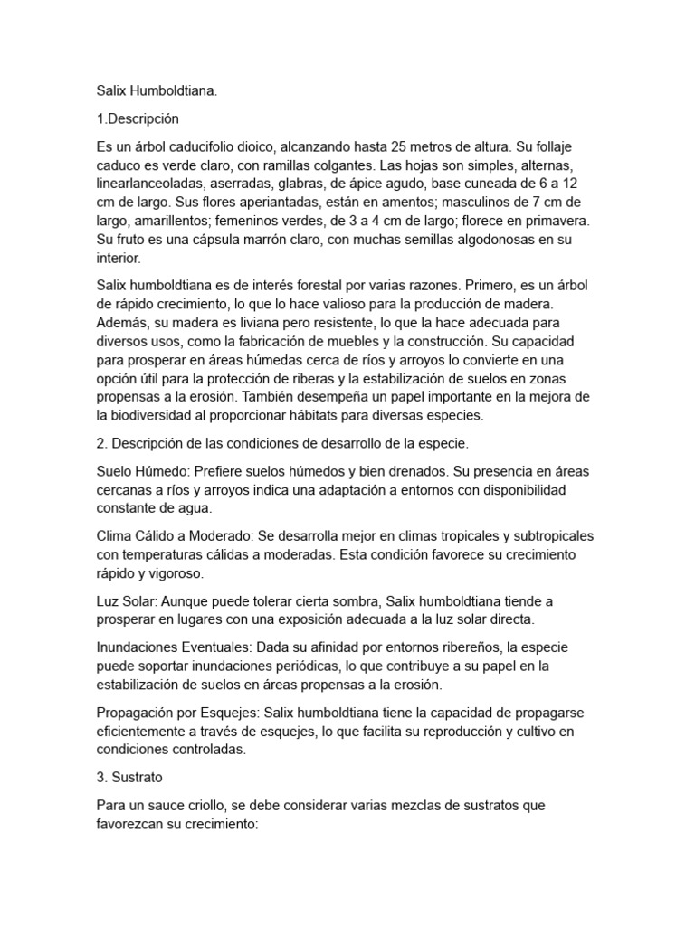 Sauce criollo (Salix Humboldtiana) | PDF | Ciencias de la Tierra