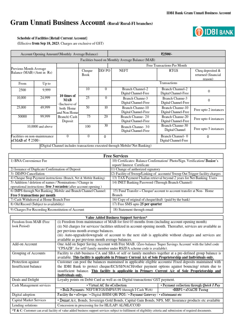 IDBI Bank Gram Unnati Account Guide | PDF | Debit Card | Transaction ...