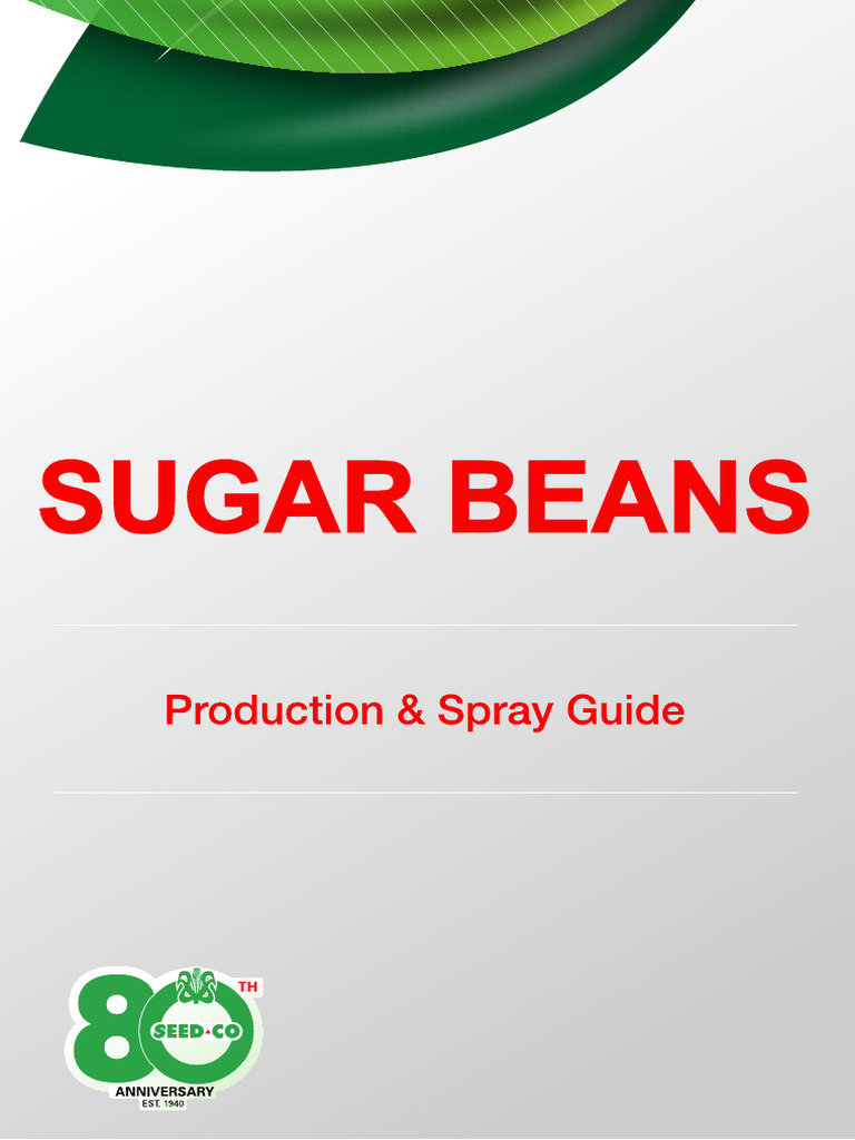 Sugar Beans | PDF | Legume | Soil
