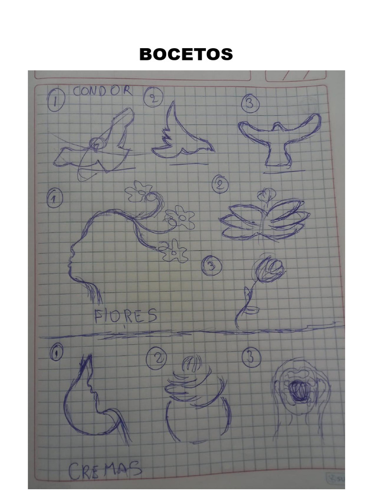 Bocetos - Carolina De La Cruz | PDF
