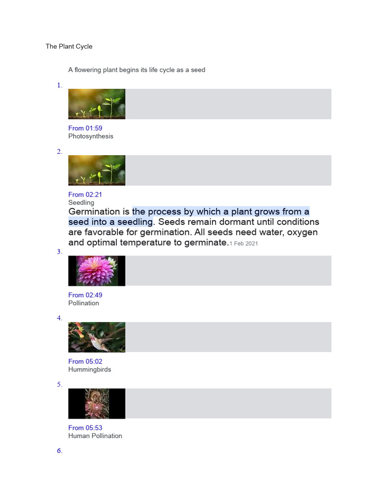 The Plant Cycle - Student | PDF