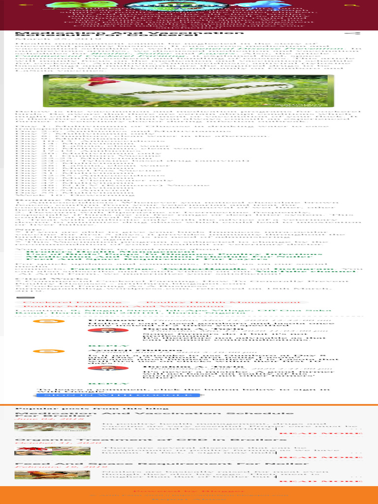 Cockerel Medication and Vaccination Plan | PDF | Chicken | Poultry