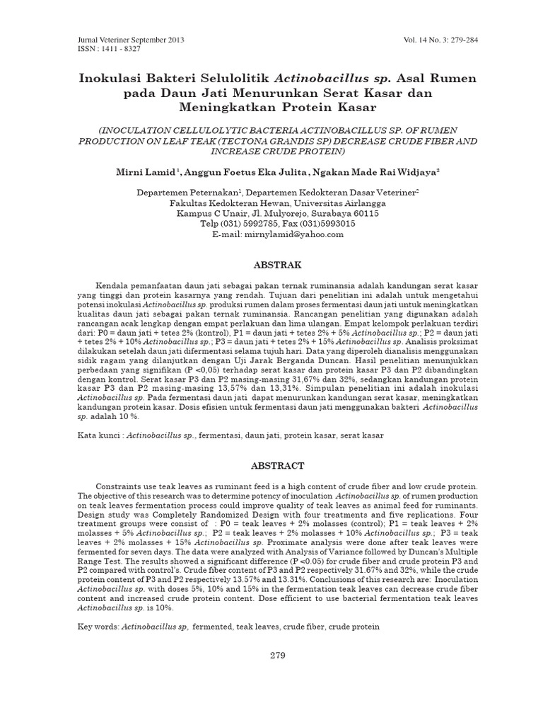 Inokulasi Bakteri Selulolitik Actinobacillus Sp. Asal Rumen Pada Daun ...