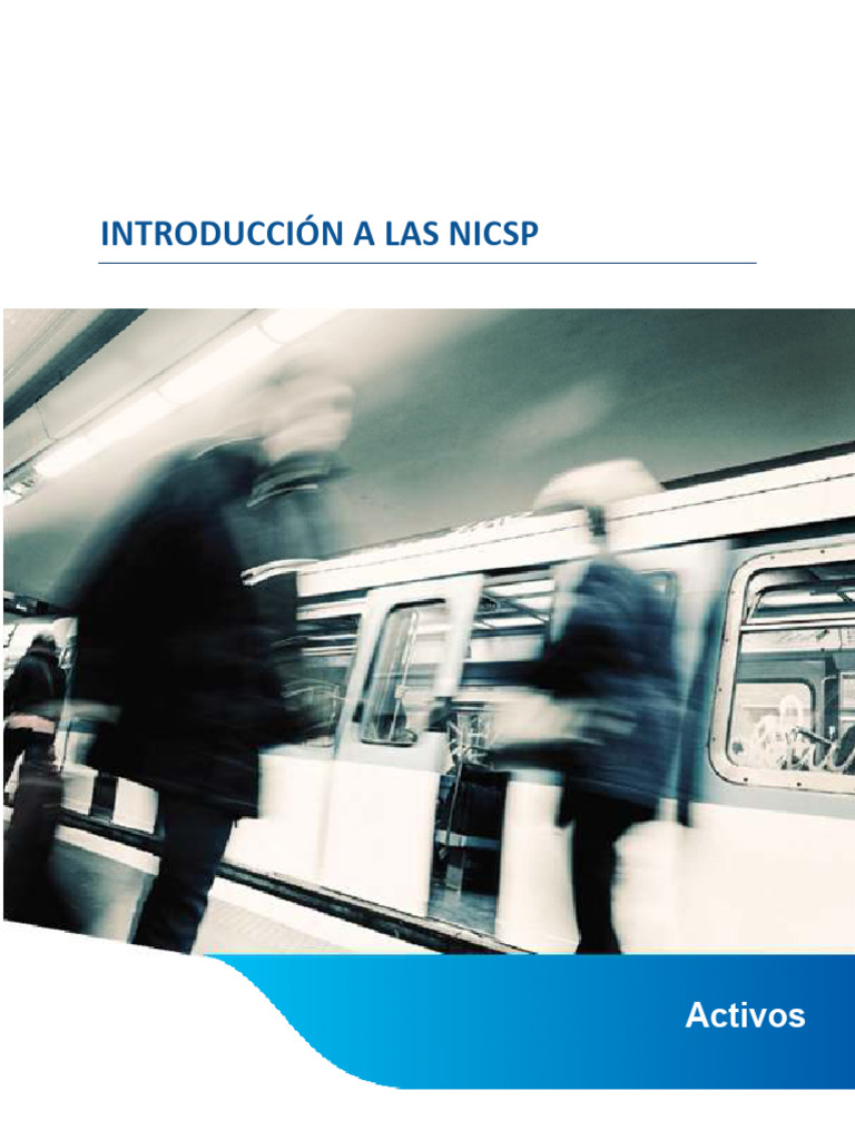 02 - Introducción A Las NICSP 'Activos' | Descargar gratis PDF ...