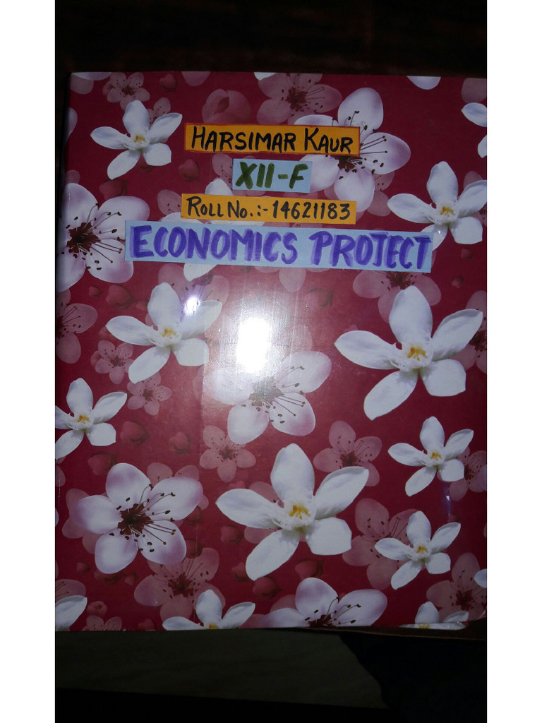 Eco. Project File Sample | PDF