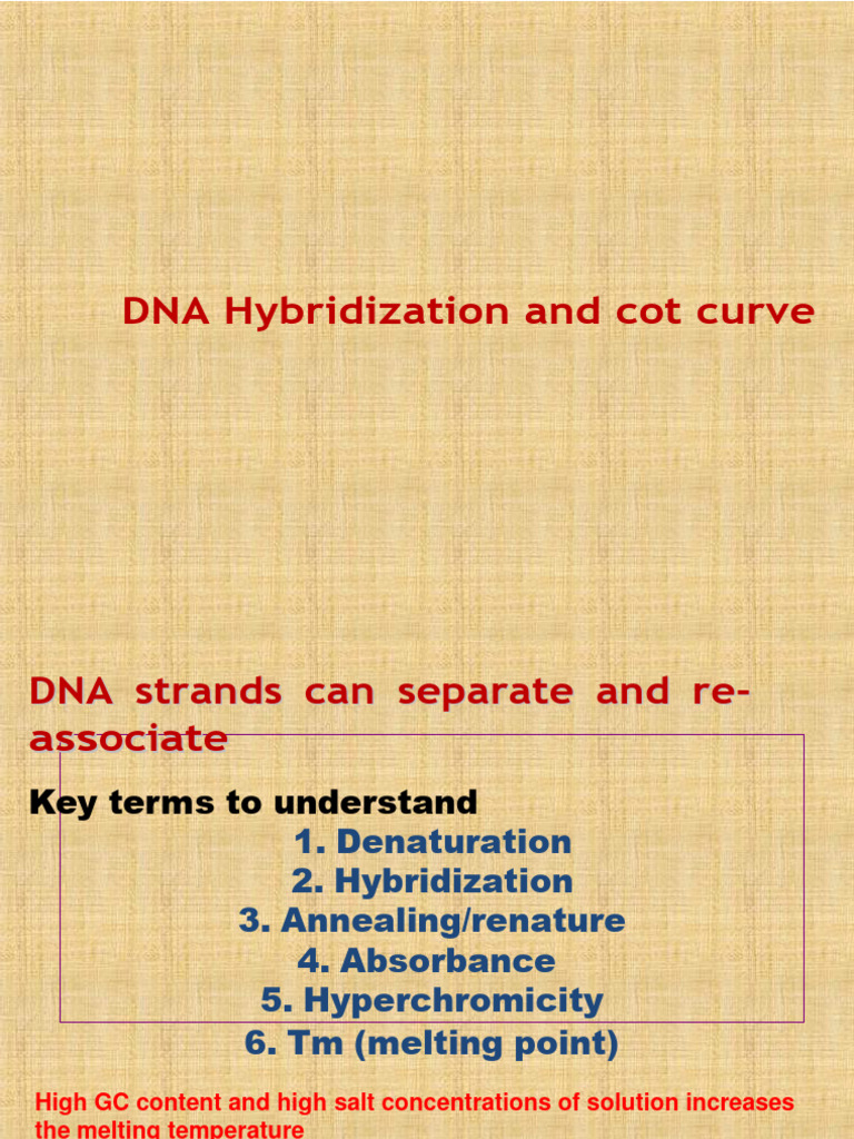 DNA Hybridization and Cot Curve | PDF | Nucleic Acid Thermodynamics | Dna