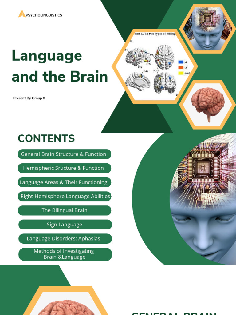 The Language and The Brain | PDF | Lateralization Of Brain Function | Aphasia