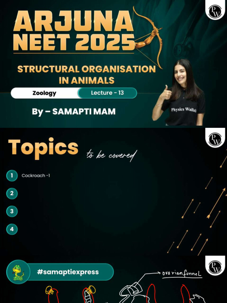Structural Organization in Animals | PDF Structural Organization in Animals | PDF