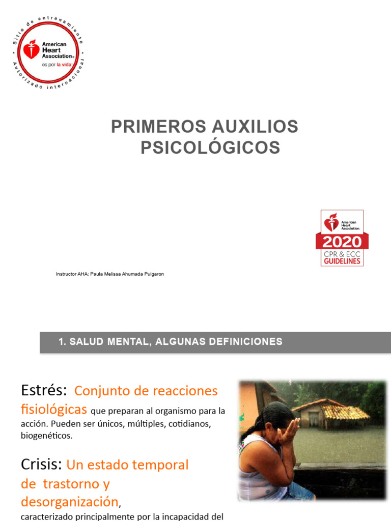 Primeros Auxilios Psicologicos | PDF | Las emociones | Salud mental