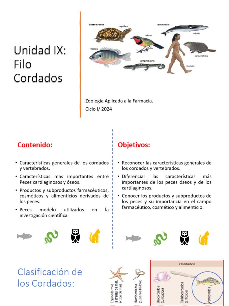 Unidad IX Peces (Autoguardado) | PDF | Pescado | Vertebrados