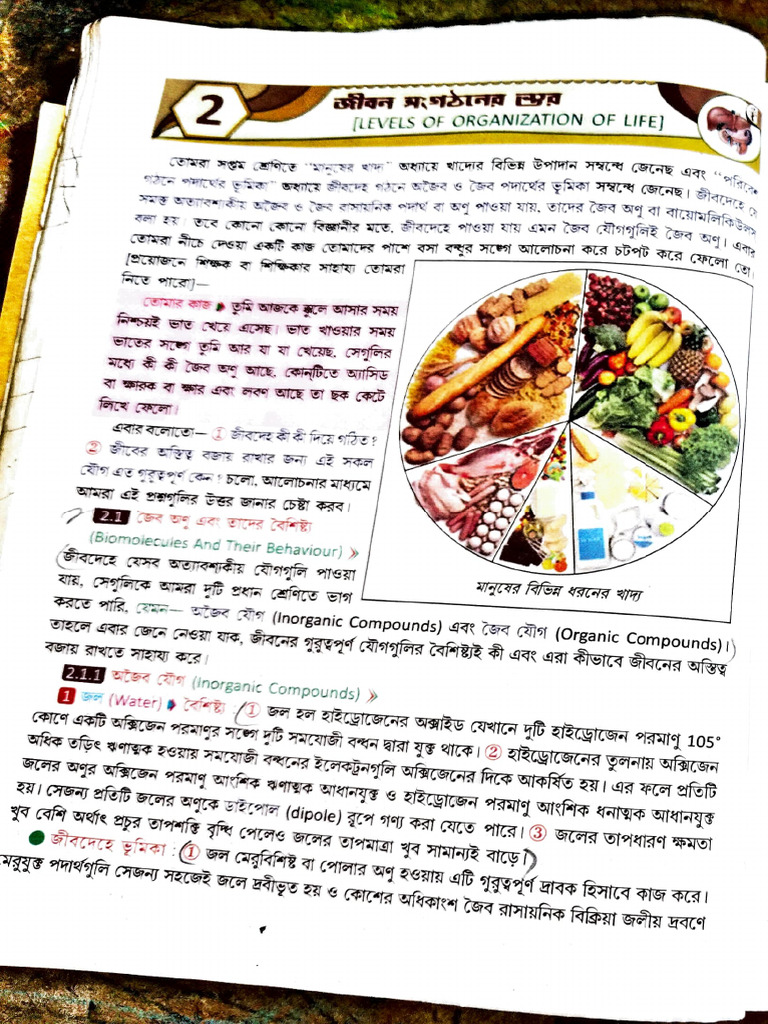 Life Sciences Class 9 3rd Chapter | PDF | Cell (Biology) | Biology