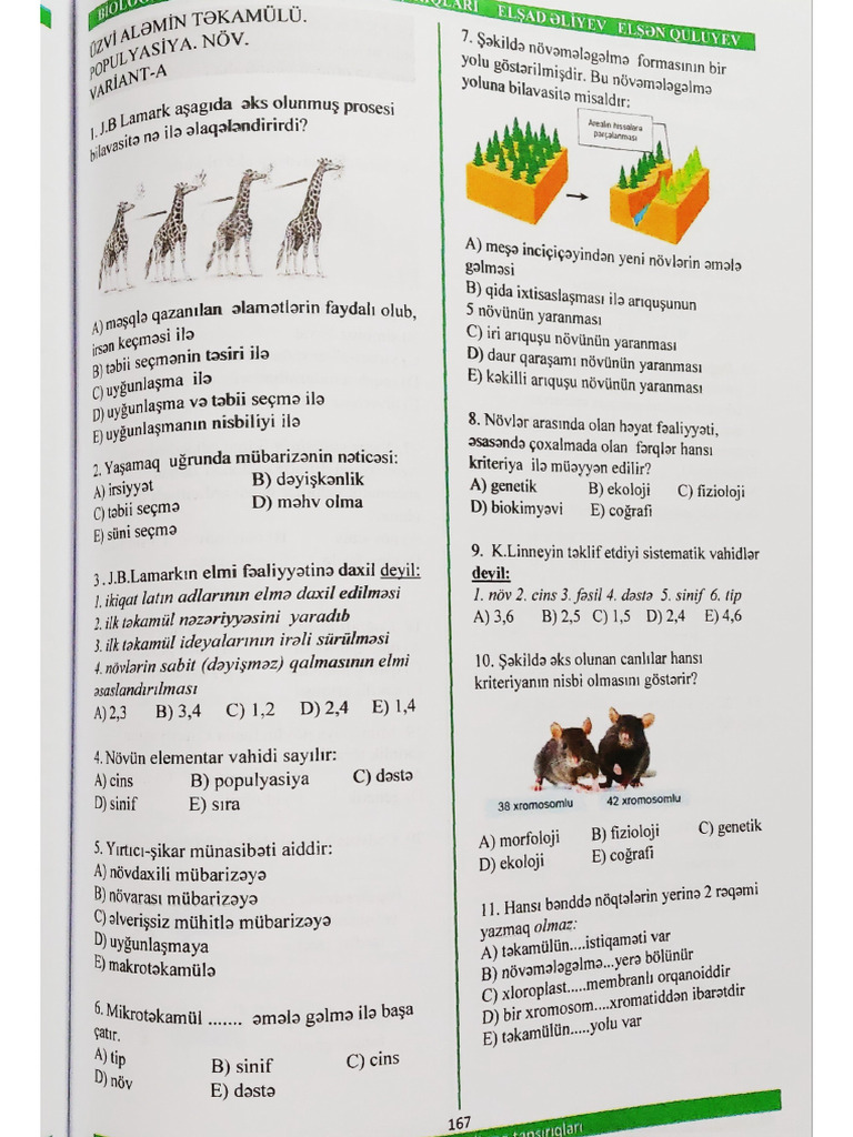IX sinif ( 4-cü bölmə) | PDF