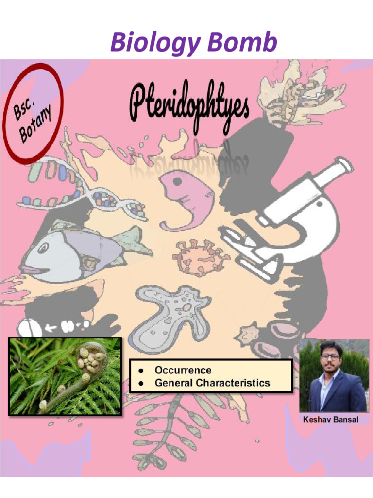 Pteridophtyes General characteristics by Biology Bomb | PDF | Spore | Fern