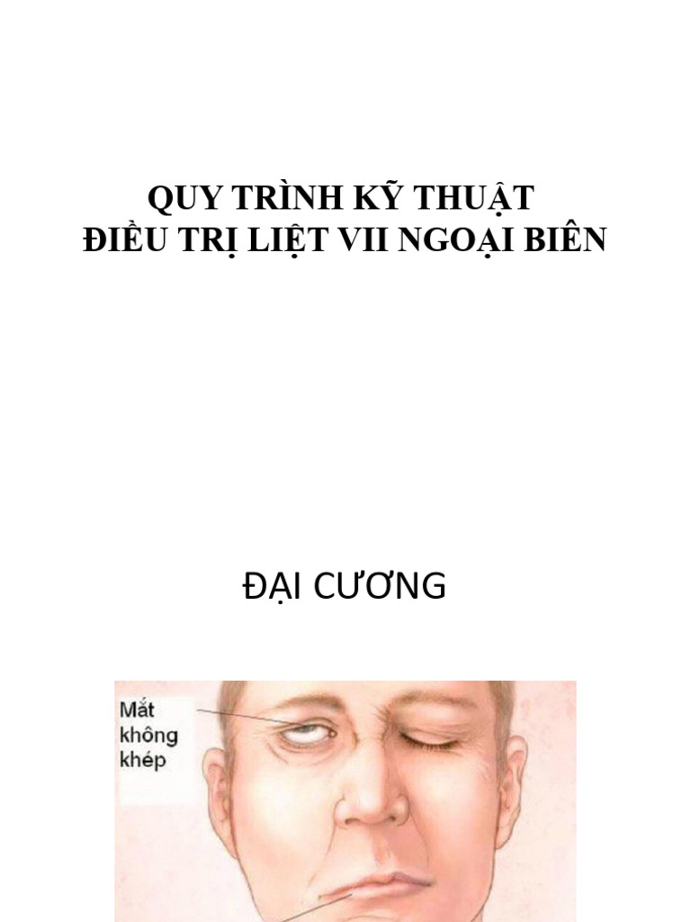 QTKT XBBH Liệt VII ngoại biên | PDF