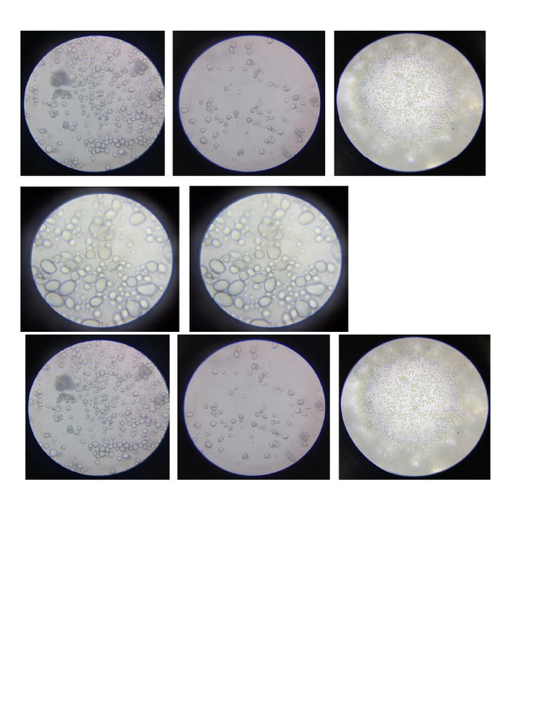 AMYLUM | PDF