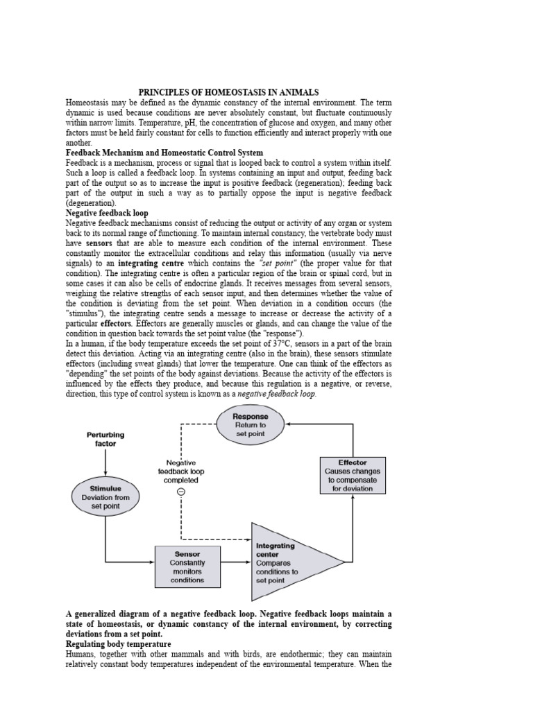 Homeostasis Mechanisms in Animals | PDF | Homeostasis | Thermoregulation