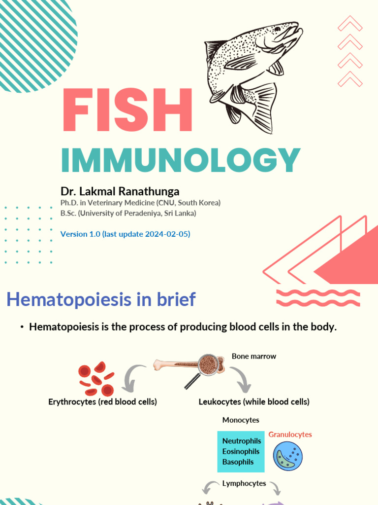 Fish Immunology - 1.0 (2024-02-05) | PDF | Immune System | Lymphocyte