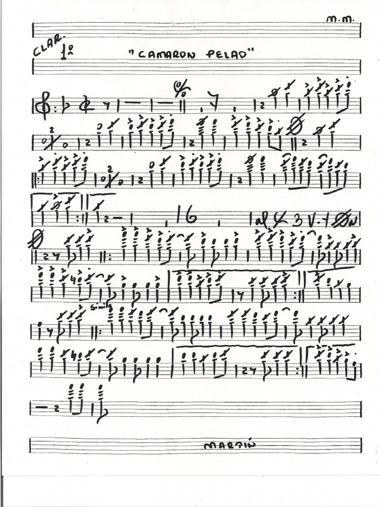 Camaron Pelao B MM | PDF