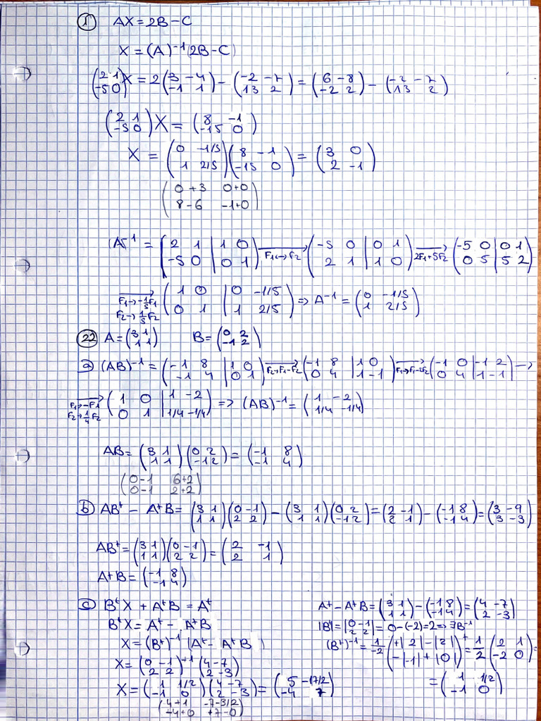 Exercicis PAU Matrius I Determinants | PDF