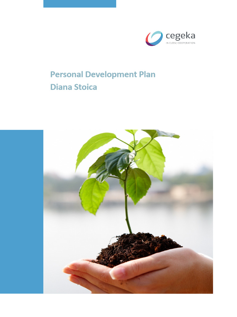 Diana Stoica Personal Development Plan 2024 | Download Free PDF | Goal ...