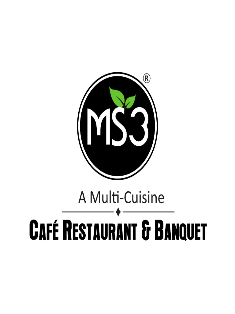 MS3 Logo N | PDF