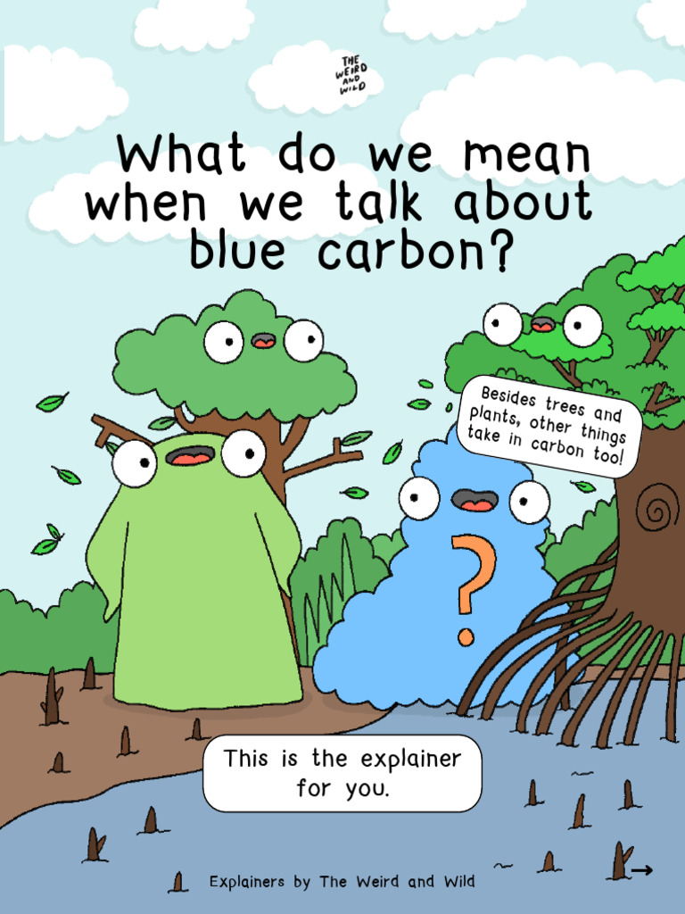 Blue Carbon Explainer 1706334561 | PDF | Carbon Sequestration | Nature
