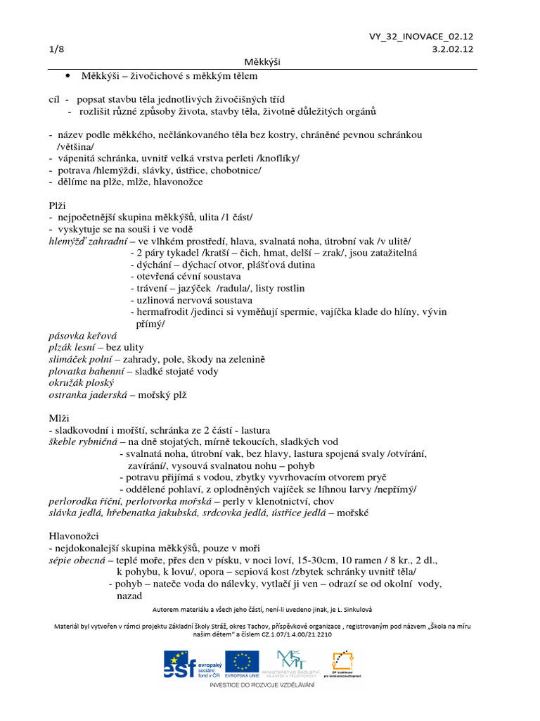 VY 32 INOVACE 02.12 Mekkysi | PDF