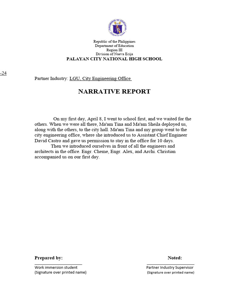 DAILY-NARRATIVE Immersion | PDF