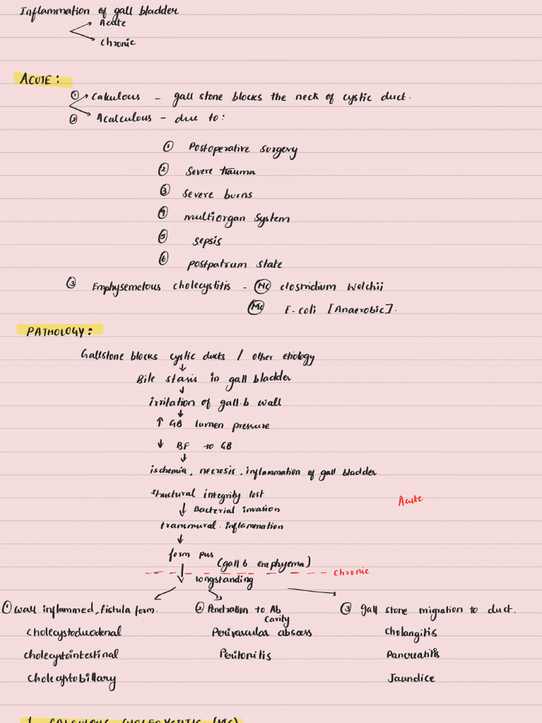 Acute Cholecystitis - 230406 - 125946 | PDF
