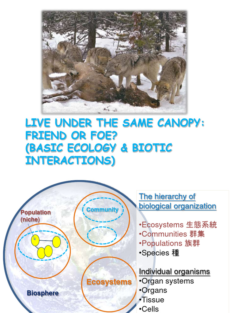 UGEB2360-7 Community Ecology | PDF | Ecological Niche | Symbiosis