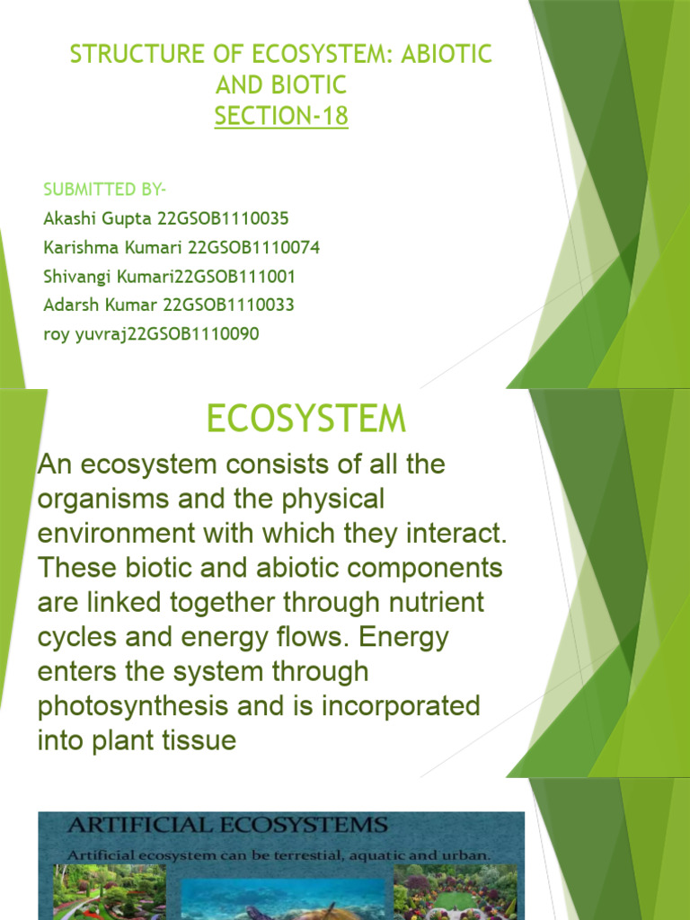 Structure of Ecosystem: Abiotic and Biotic Section-18: Submitted by | PDF