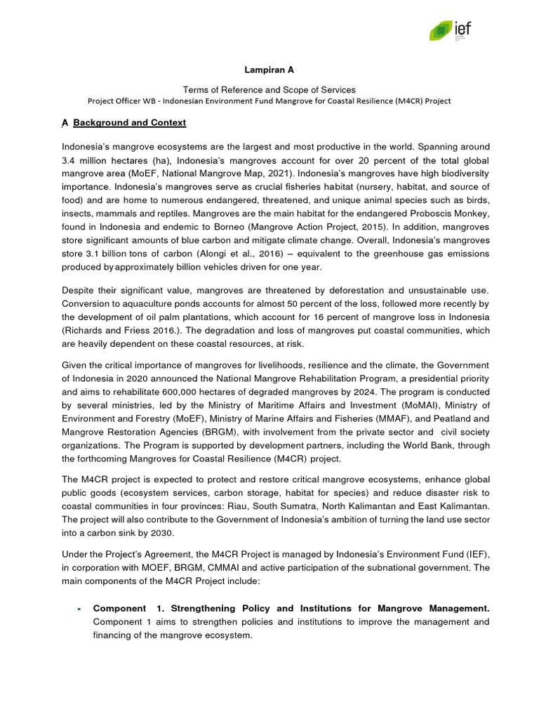 TOR-Project Leader PMU M4CR BPDLH1 | PDF | Mangrove | Environmental ...