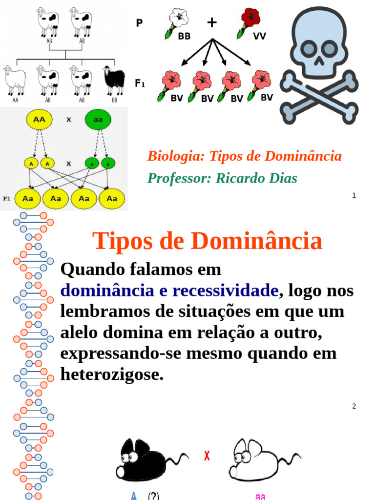 TIPOS DE DOMINÂNCIA ok | PDF | Alelo | Genótipo
