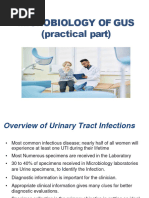 Aerococcus Urinae, Alloscardovia Omnicolens, and Actinotignum Schaalii ...