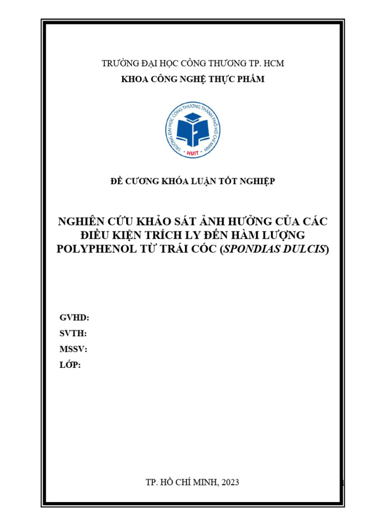 KLTN_Mau de cuong | PDF