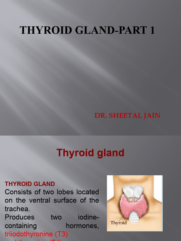 Thyroid Gland Anatomy and Function | PDF | Wellness